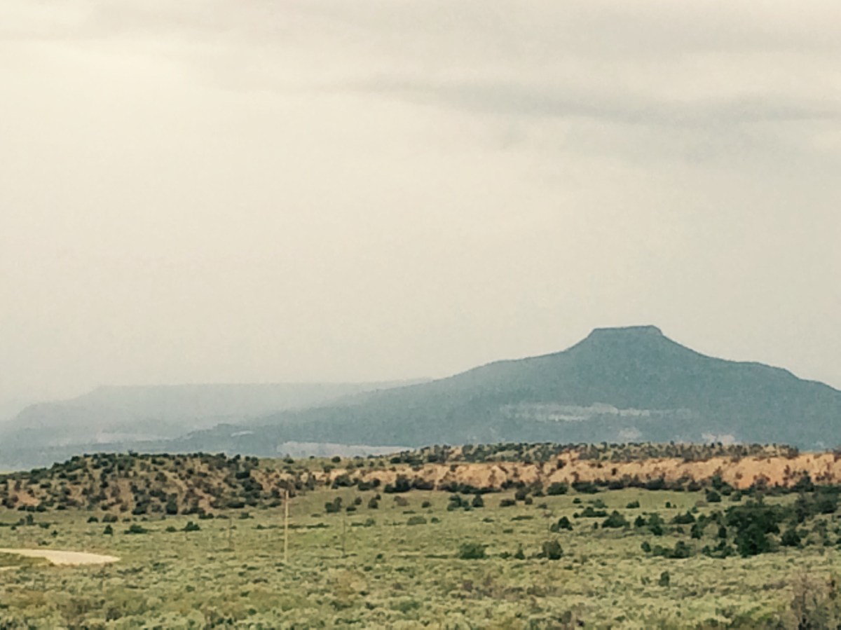 BOB MCNEIL ~ Grieve as You Perceive | Cacti Fur