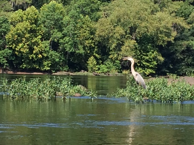 James Croal Jackson – Dejected Catholic Upbringing | Cacti Fur