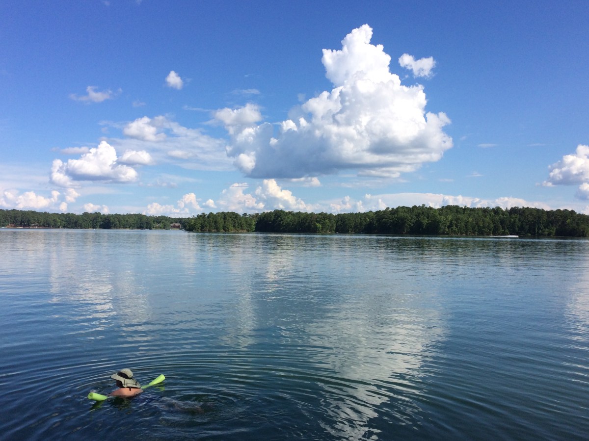 TIM STALEY – 15 LAKE MARTIN HAIKU | Cacti Fur
