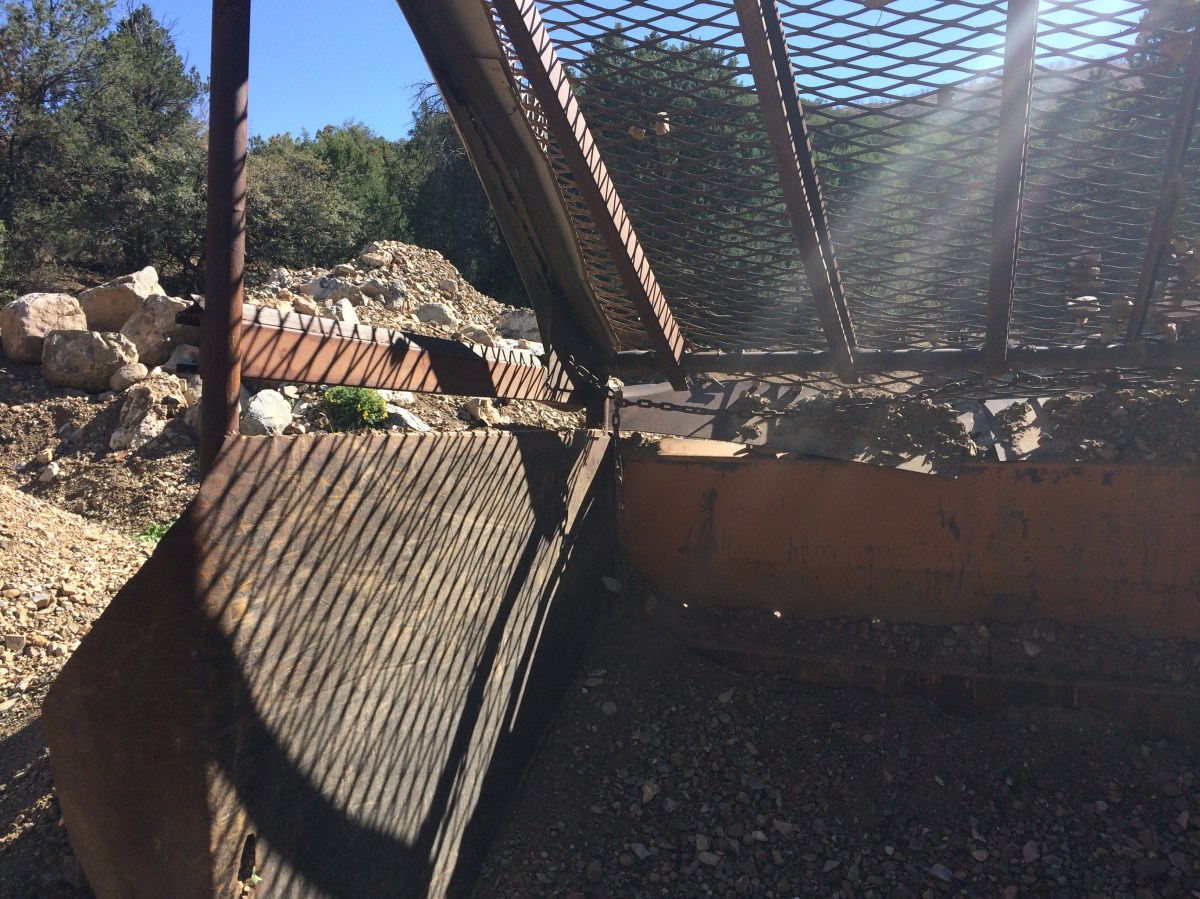 M. STONE – THE ODDBALL REVEALS HERSELF EARLY ON | Cacti Fur