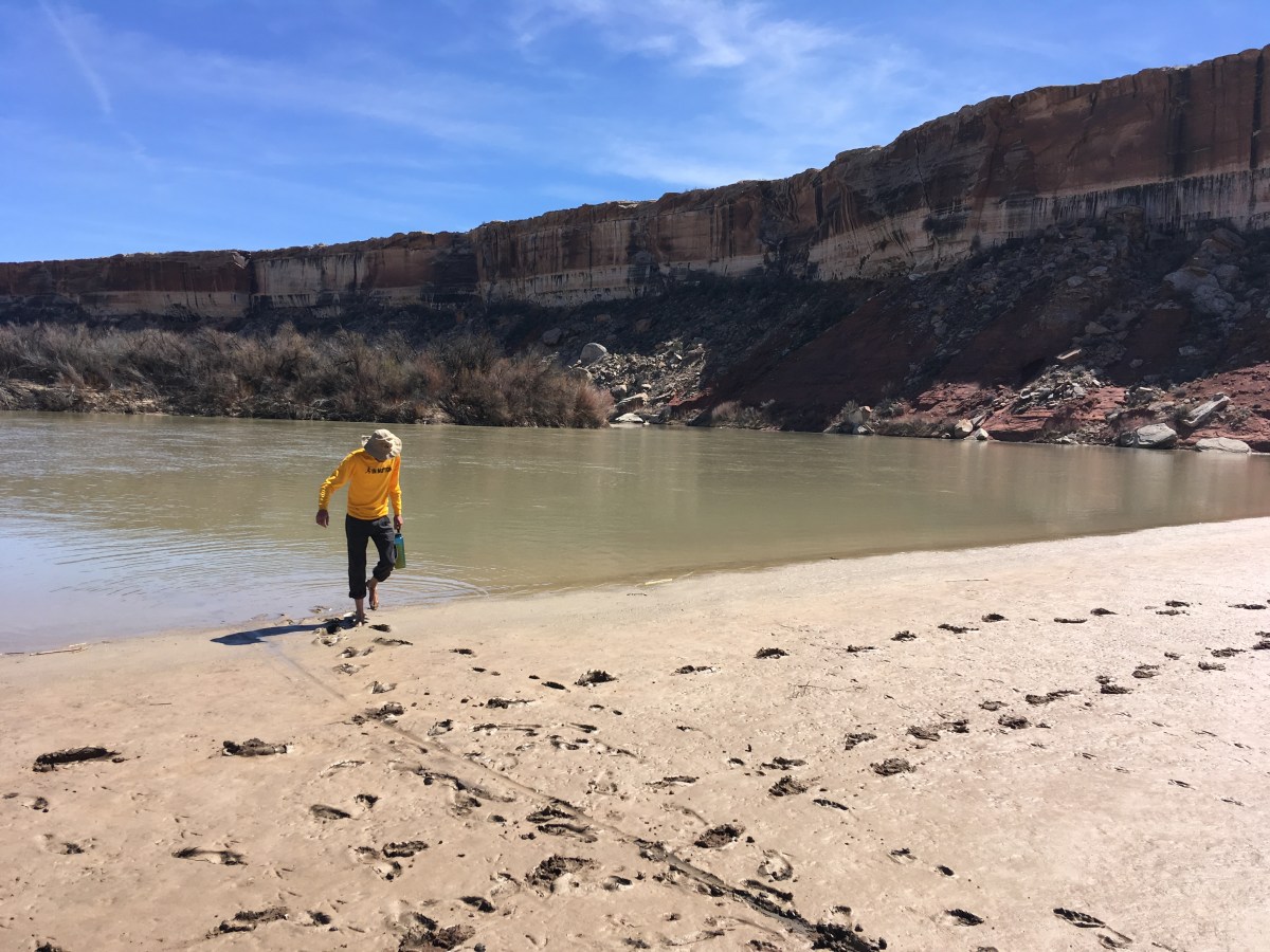 TIM STALEY – I REMEMBER, LANCE, THE LAST TIME I SAW YOU | Cacti Fur