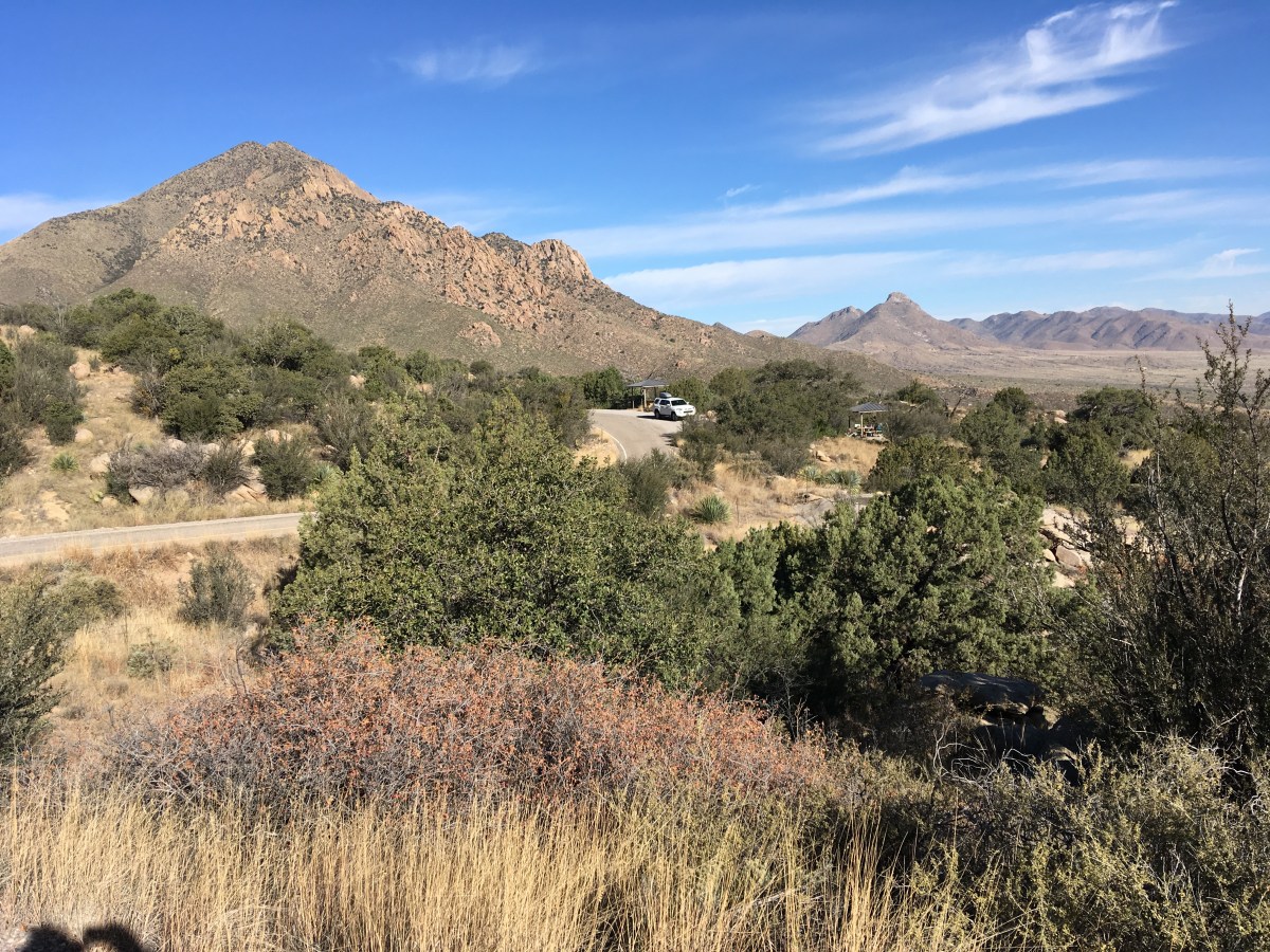 JOHNNY HUERTA – 2 POEMS | Cacti Fur