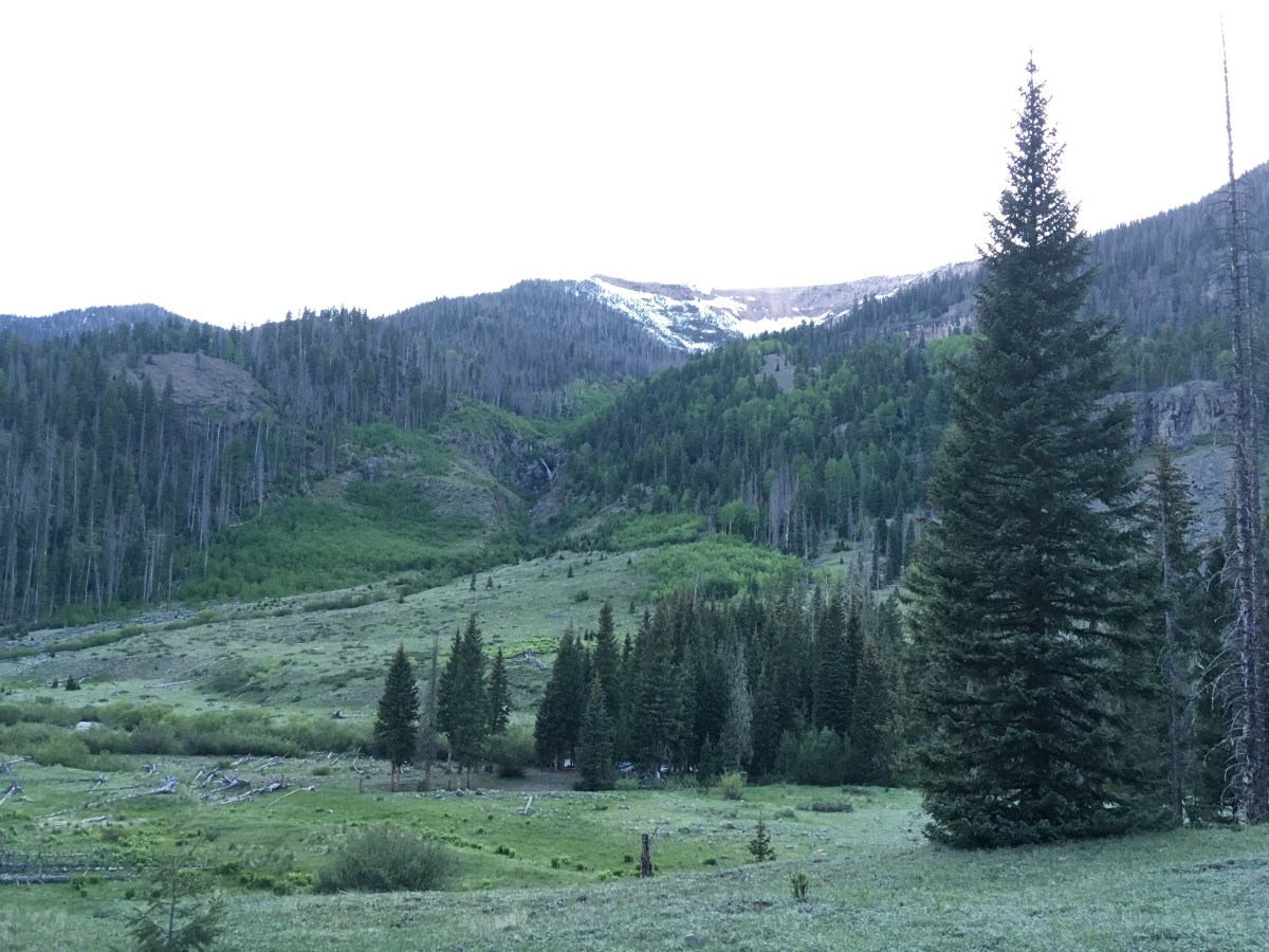 TIM STALEY – A POEM FOR LANCE | Cacti Fur