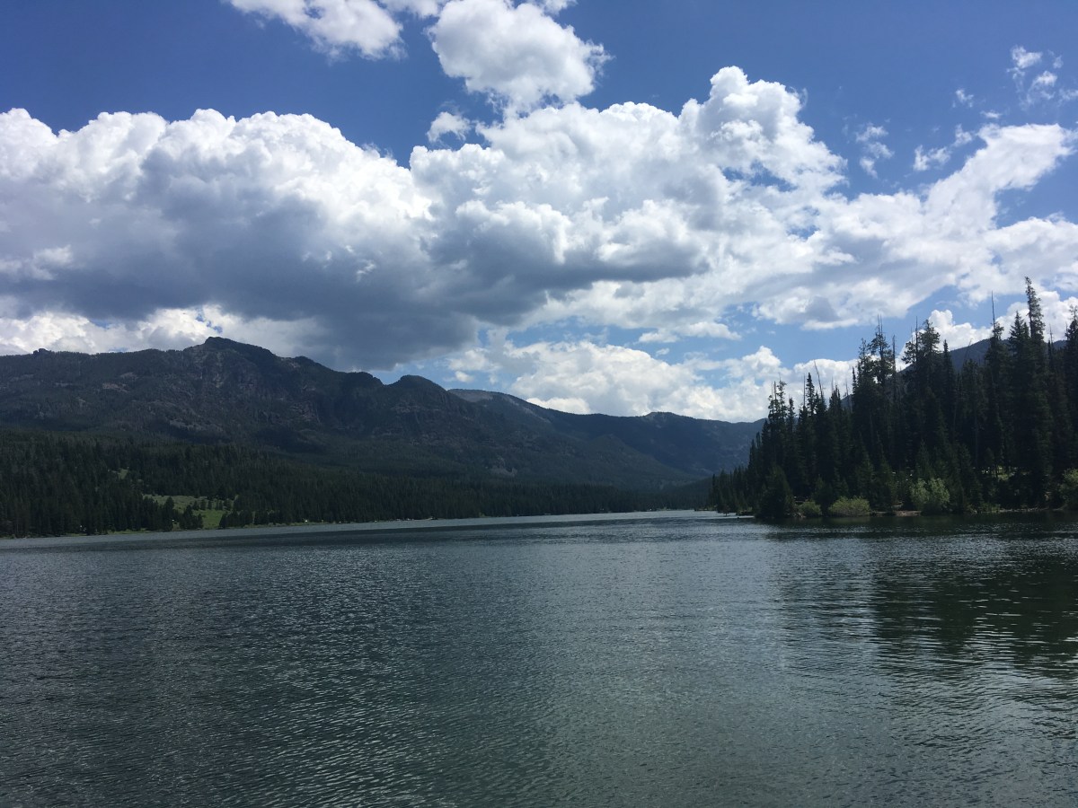 TOM MONTAG – from “The Woman in an Imaginary Painting” | Cacti Fur