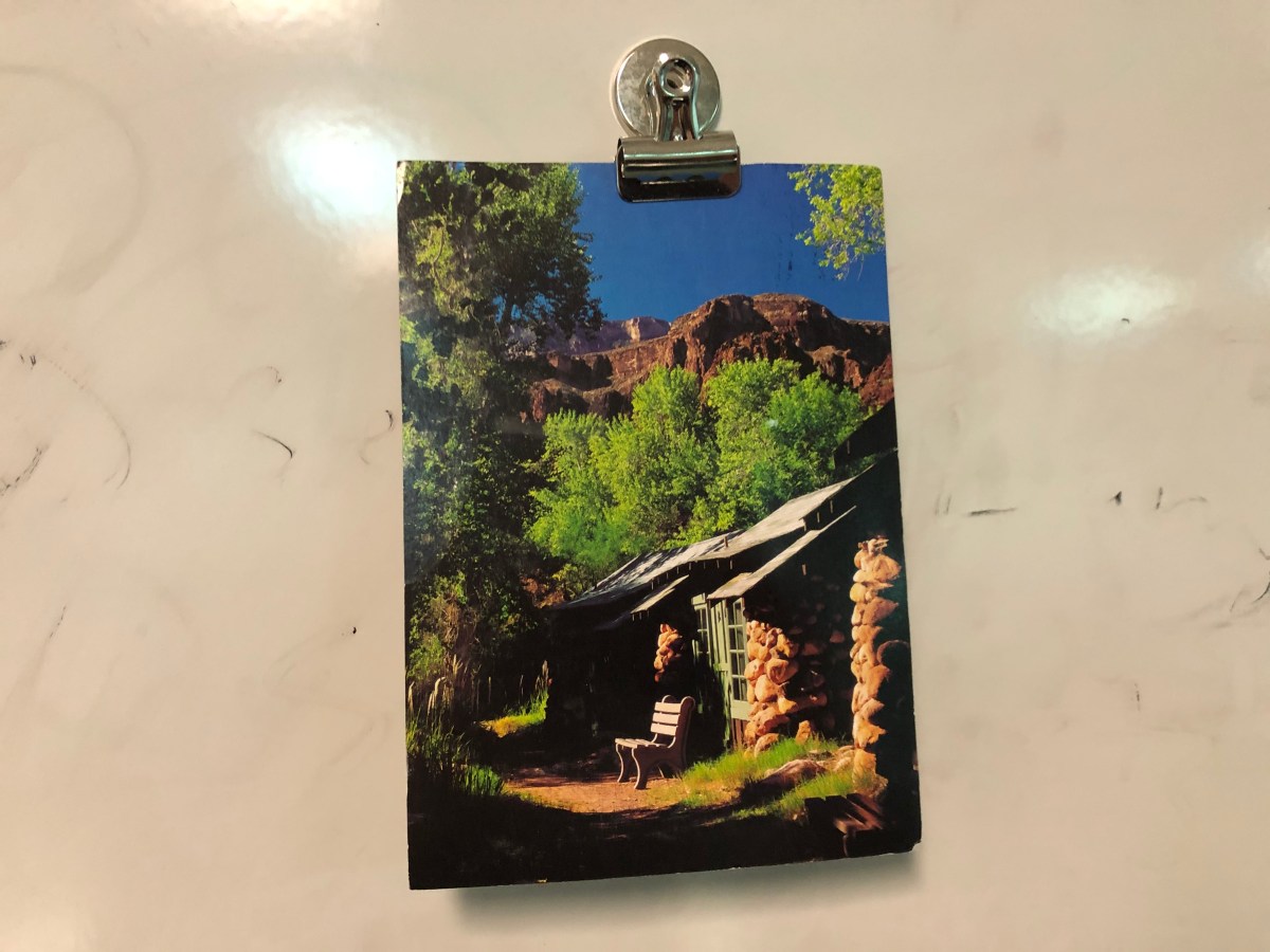 LANCE GAMBRELL – POSTCARD FROM PHANTOM RANCH | Cacti Fur