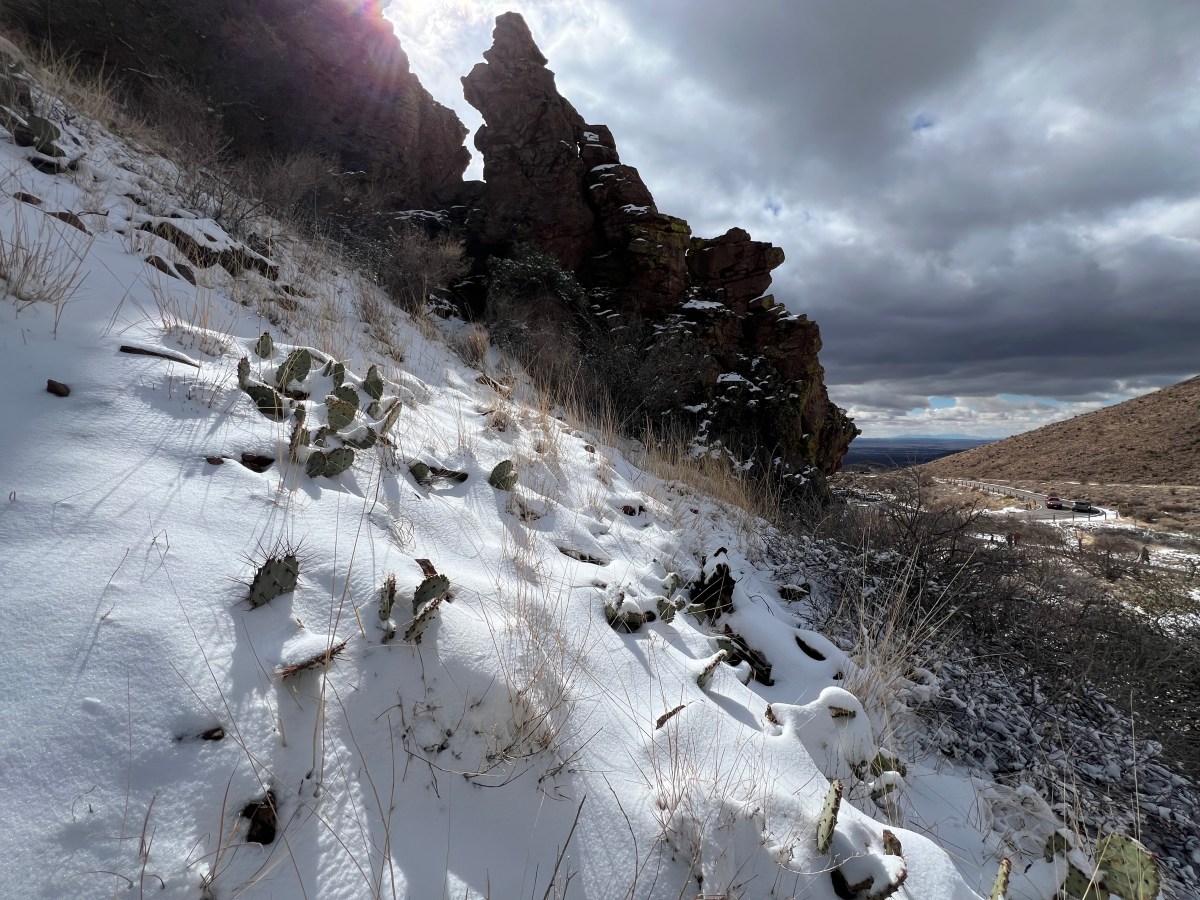 ROBERT BEVERIDGE – THE NAME OF MY BRIDE | Cacti Fur